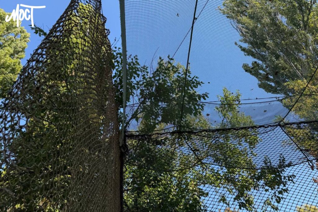 In Kherson, anti-drone nets installation will continue and expand in 2026